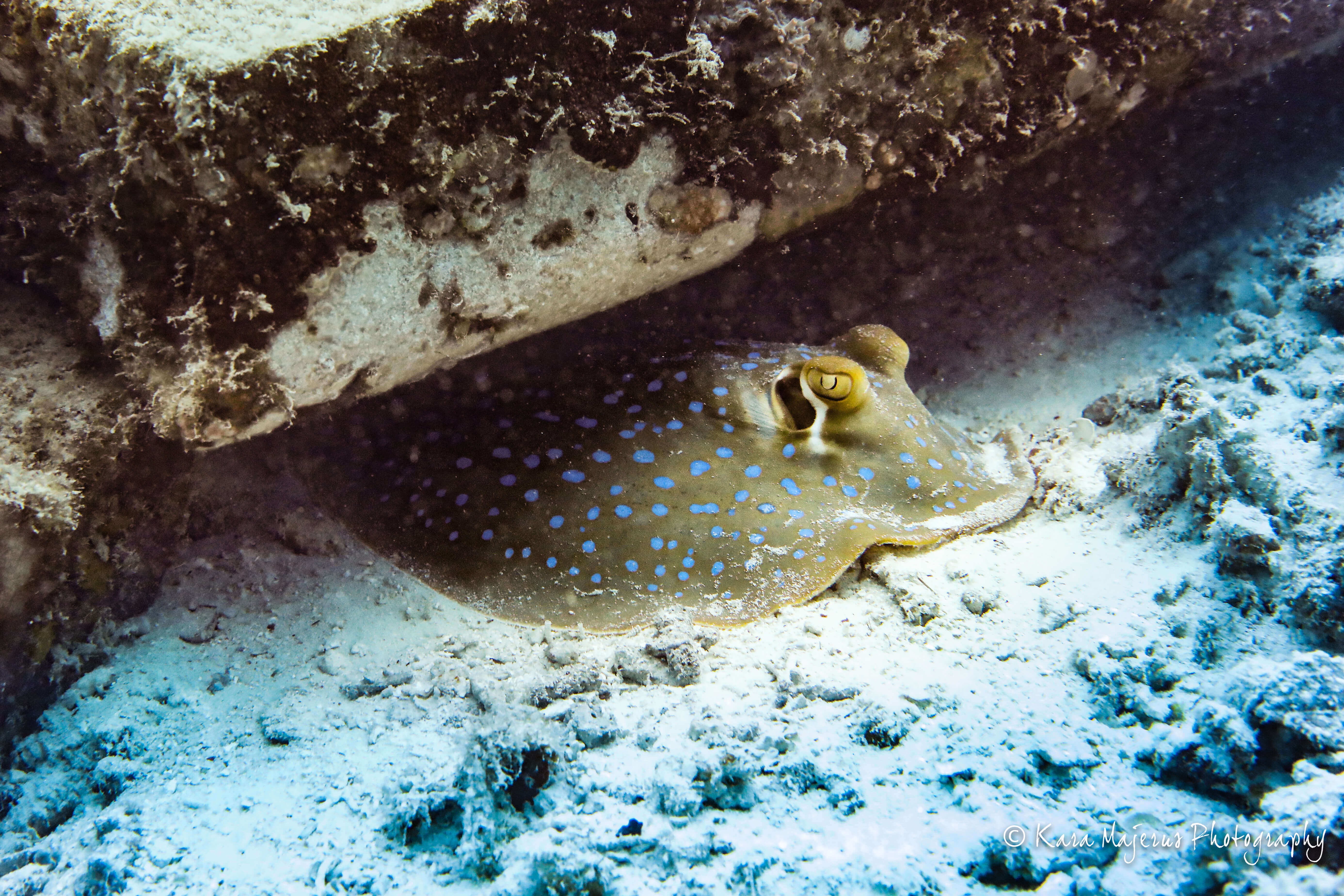 Initiatives – SORCE