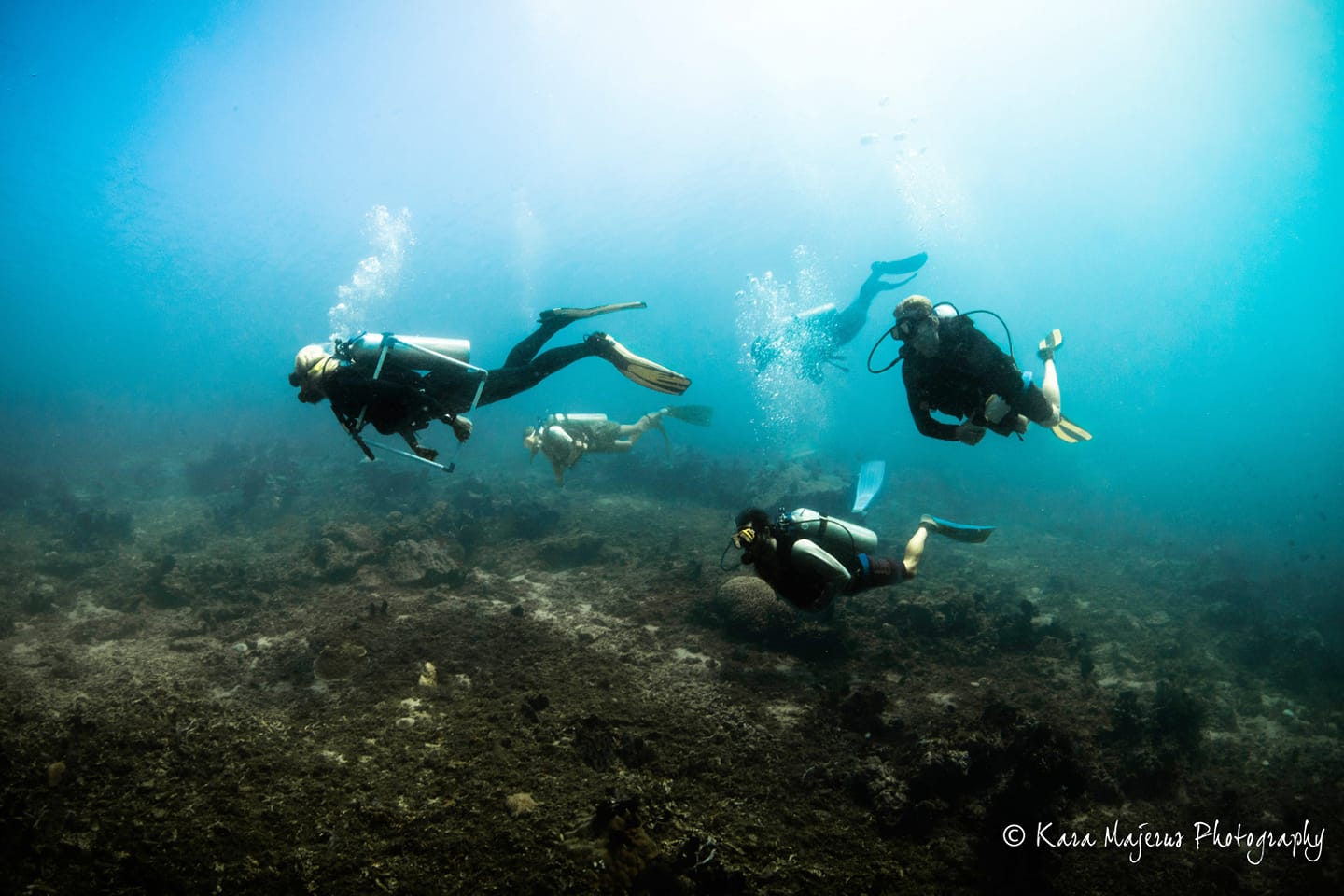 Conservation Divemaster – SORCE