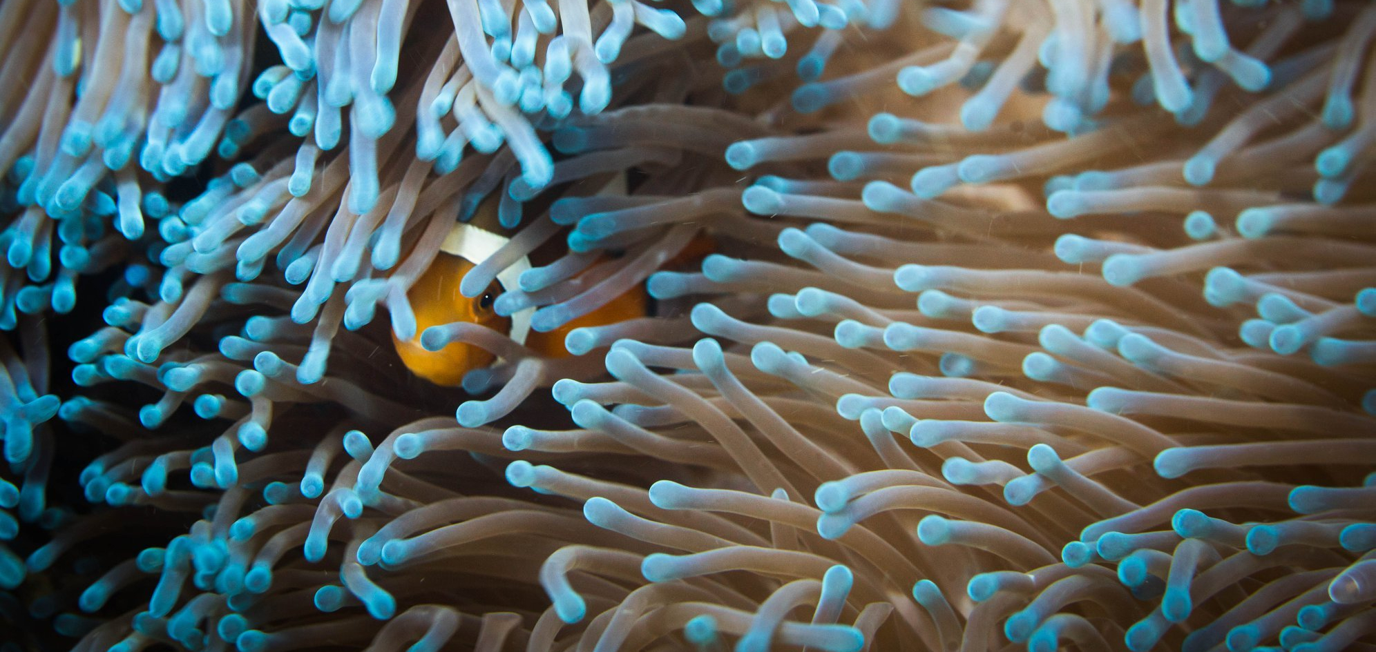 Short-Courses – SORCE