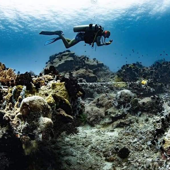 What is SORCE? - SORCE - Sustainable Oceanic Research, Conservation and ...