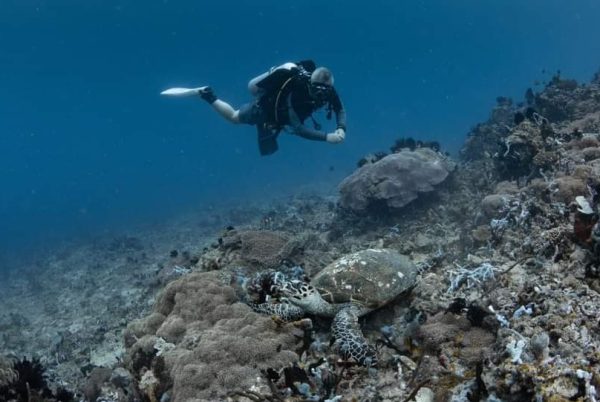 Welcome to SORCE - SORCE - Sustainable Oceanic Research, Conservation ...